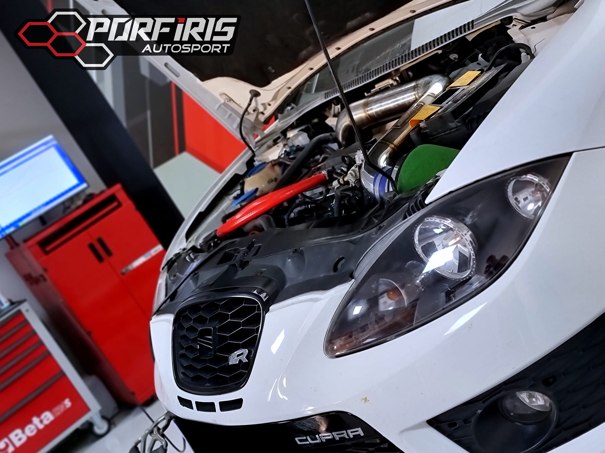 Seat Leon Cupra 1P FL - 518PS - PORFIRIS